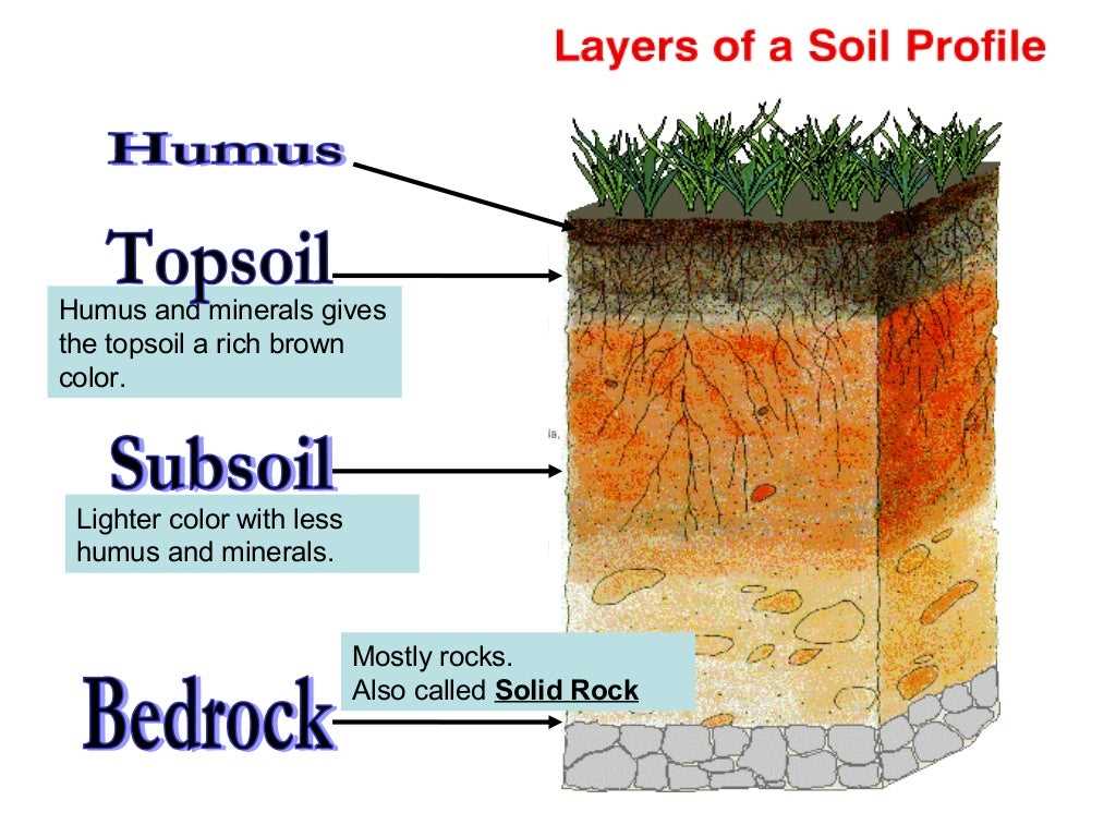 The Hidden Relationship: Unveiling the Power of Geology in Soil Formation
