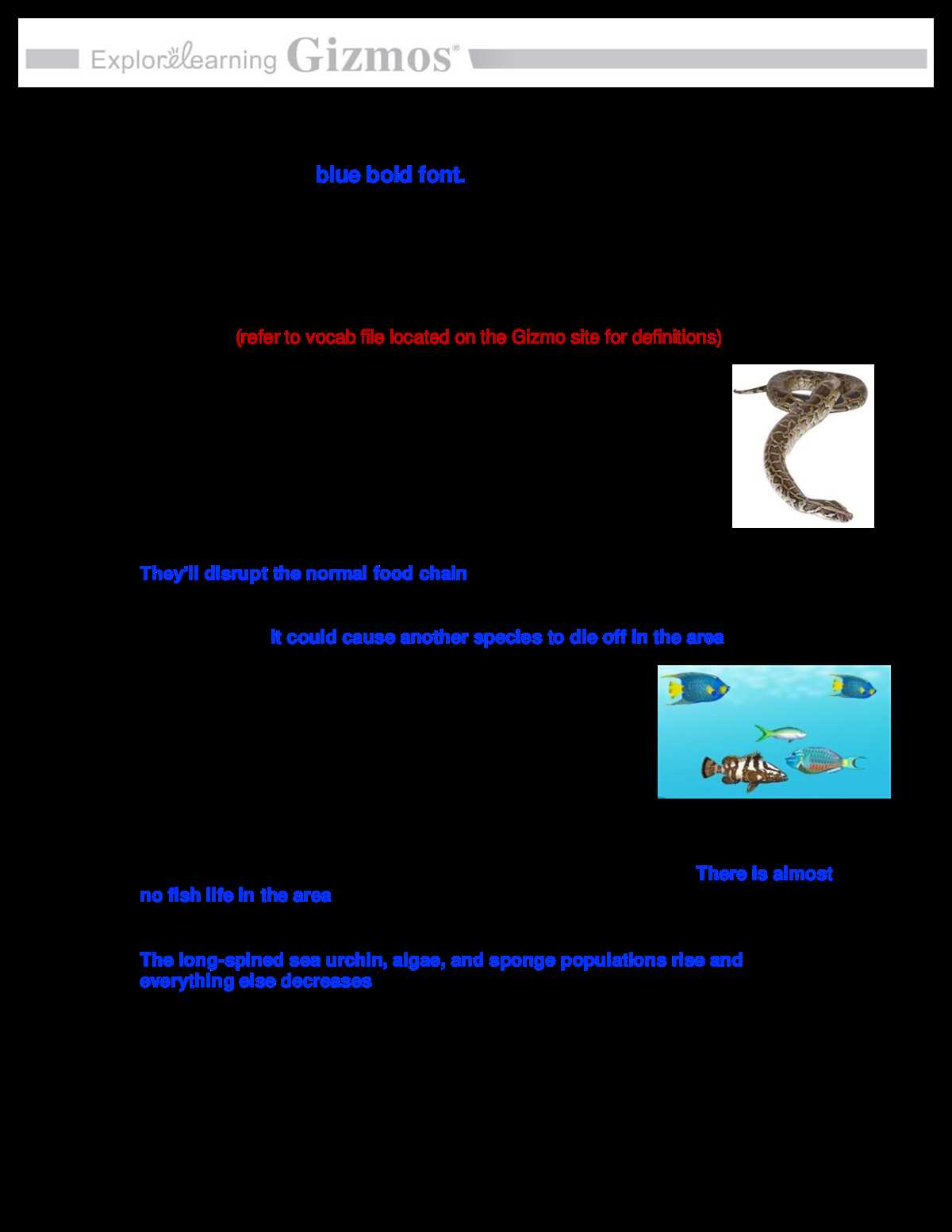 Unlocking the Secrets of the Food Chain: Unveiling the Answer Key to ...