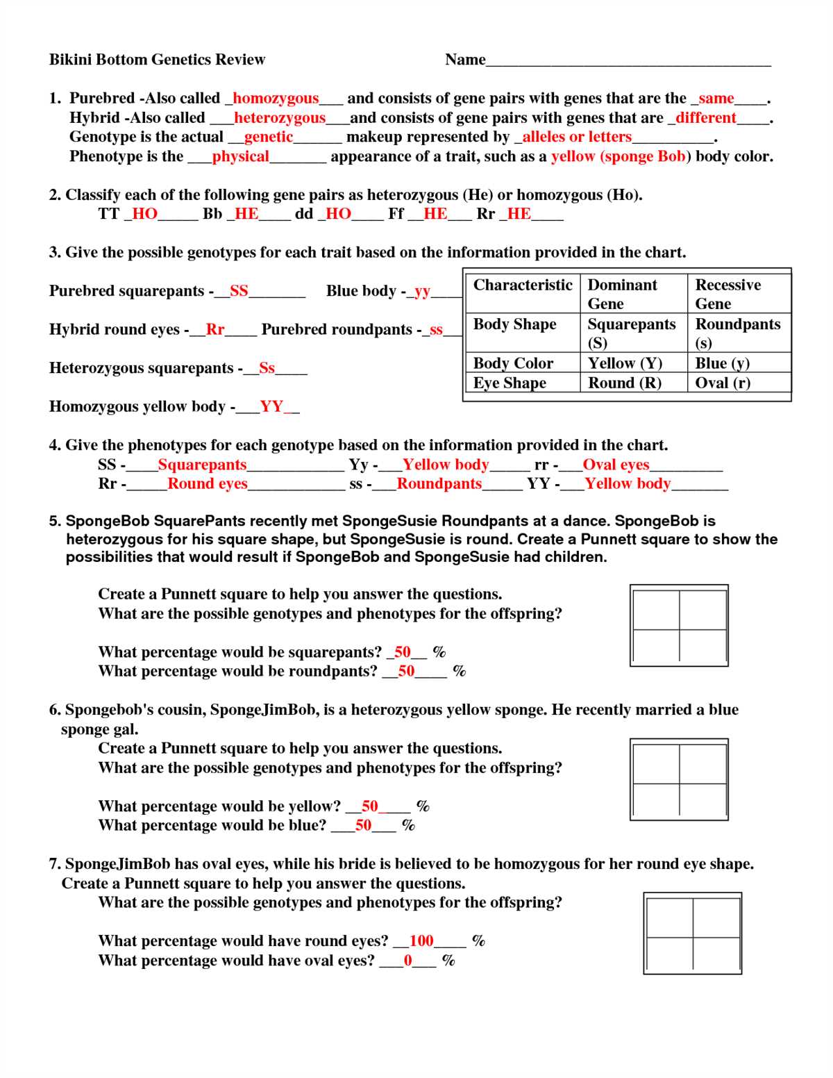 Master Punnett Squares with this Practice Worksheet Answer Key