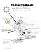 The Secret Life of Plants: Demystifying Photosynthesis