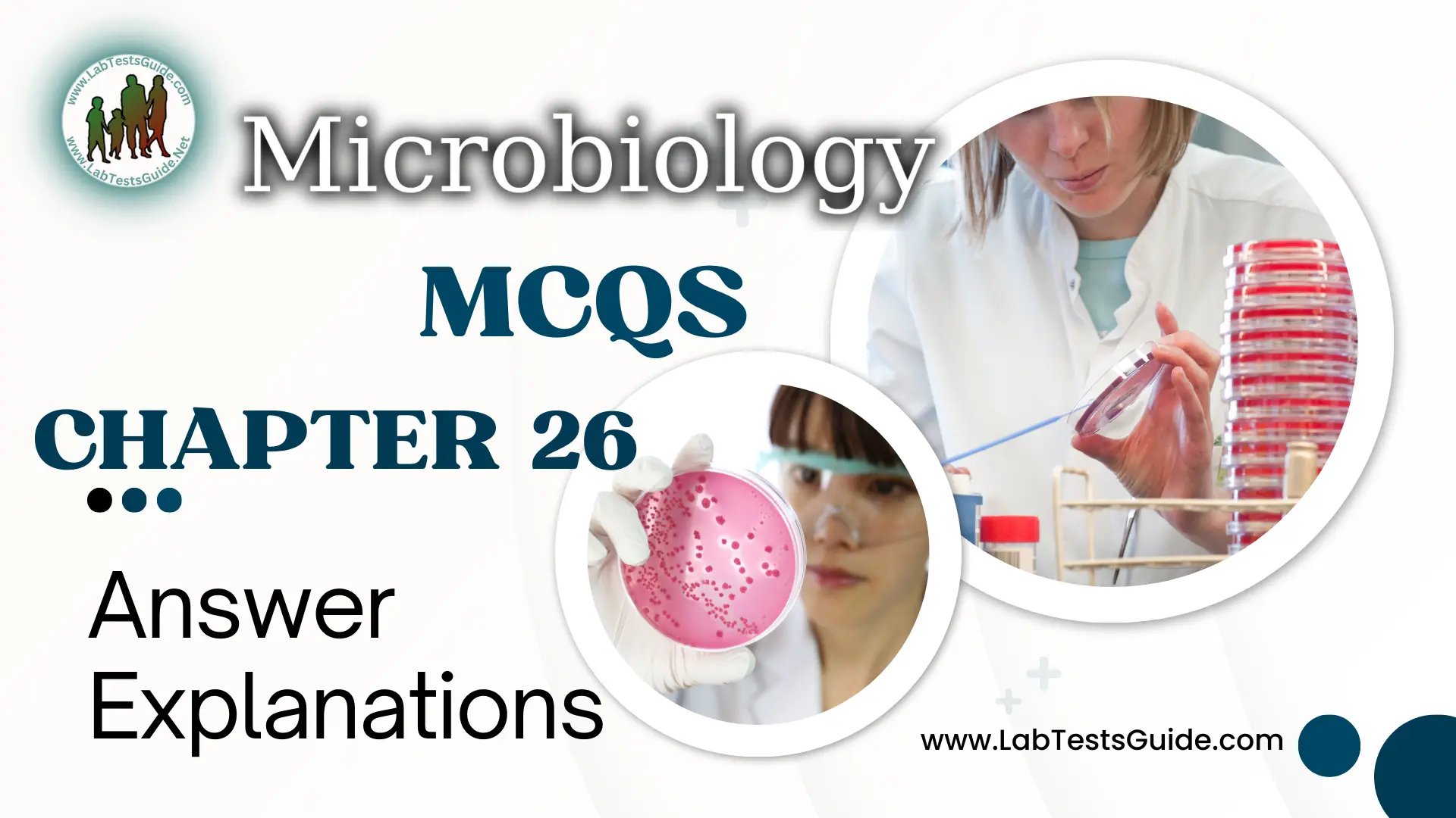 Mastering Chemistry Stoichiometry with the Complete Answer Key
