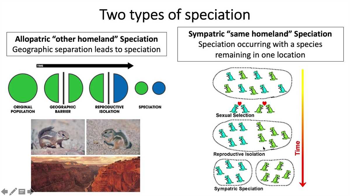 Unraveling the Mysteries of Selection and Speciation: The Ultimate ...
