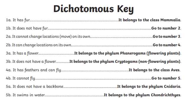 How to Unlock the Secrets of Snowflake Identification with Dichotomous ...