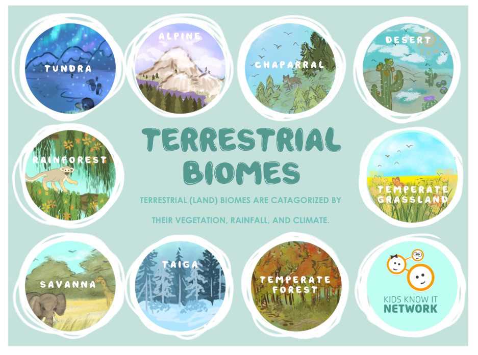Unlocking the Secrets: Unveiling the Answers to Terrestrial Biomes ...