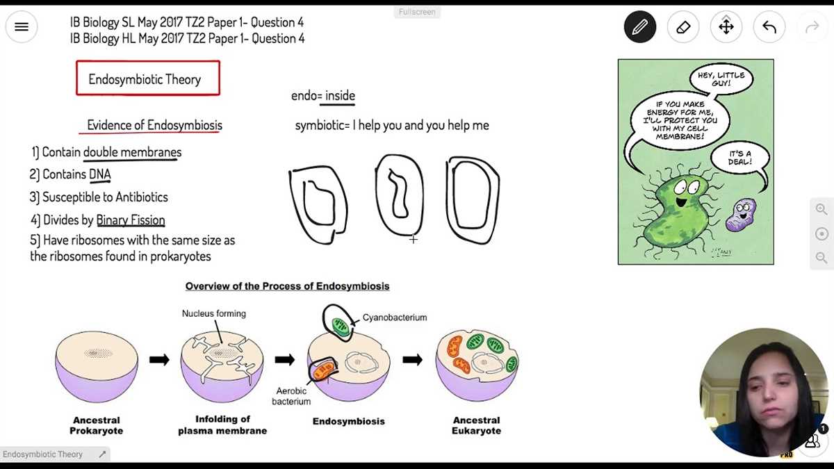 Mastering IB Biology Exam Questions and Answers: Your Key to Success