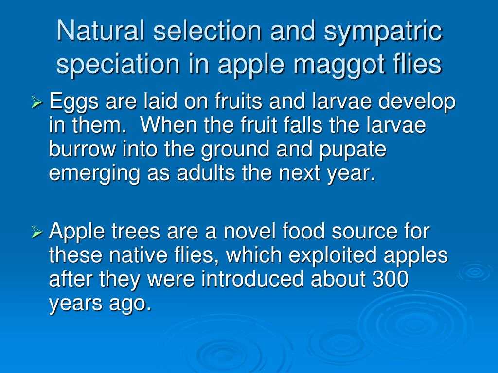 The Ultimate Selection and Speciation Answer Key: Unlocking the Secrets ...