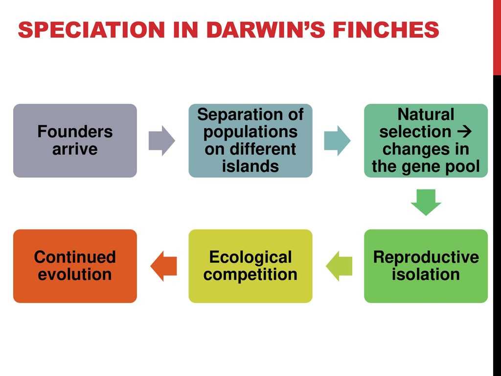 The Ultimate Selection and Speciation Answer Key: Unlocking the Secrets ...